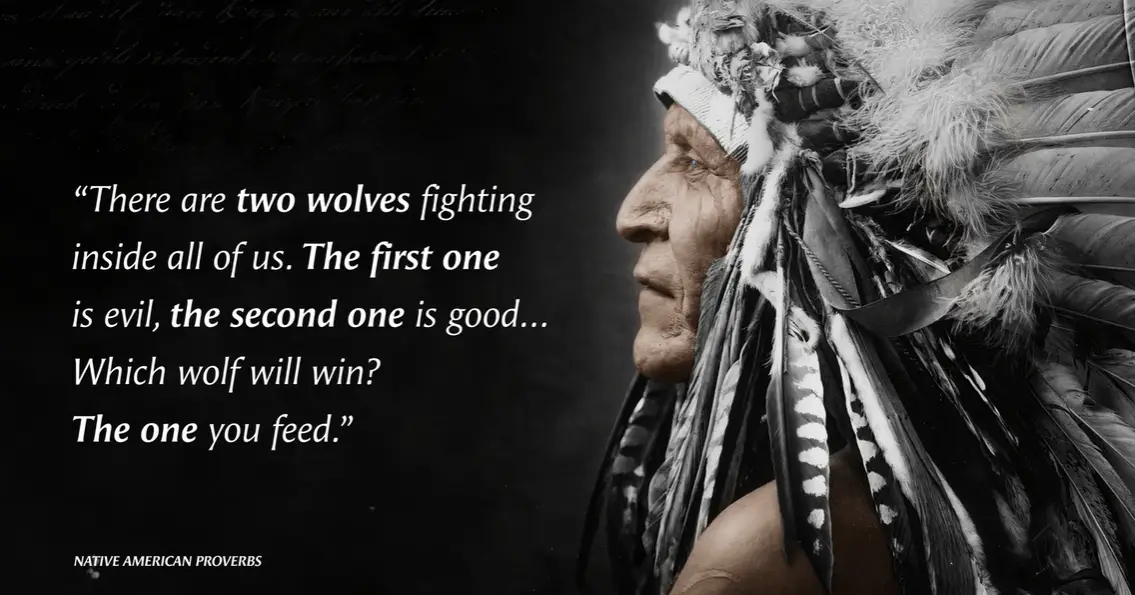 These Native American Proverbs are Life Changing - Green Living Tribe