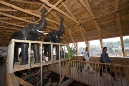 This Man Built A Real Life Noah's Ark And You Won't Believe How ...