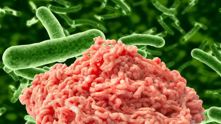 New Study Finds Urinary Tract Infection Is Linked to Common Bacteria in ...